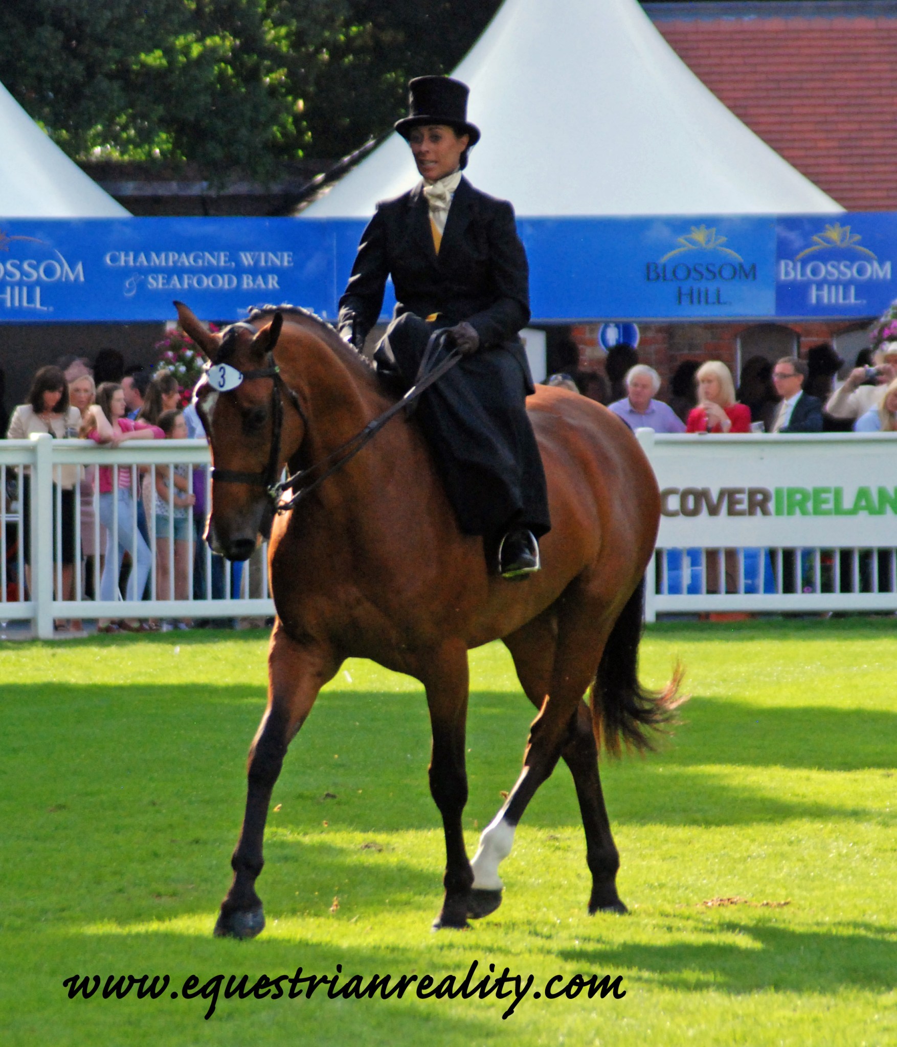 Making A Show Of Yourself – Part 1 – Types of ridden showing classes ...