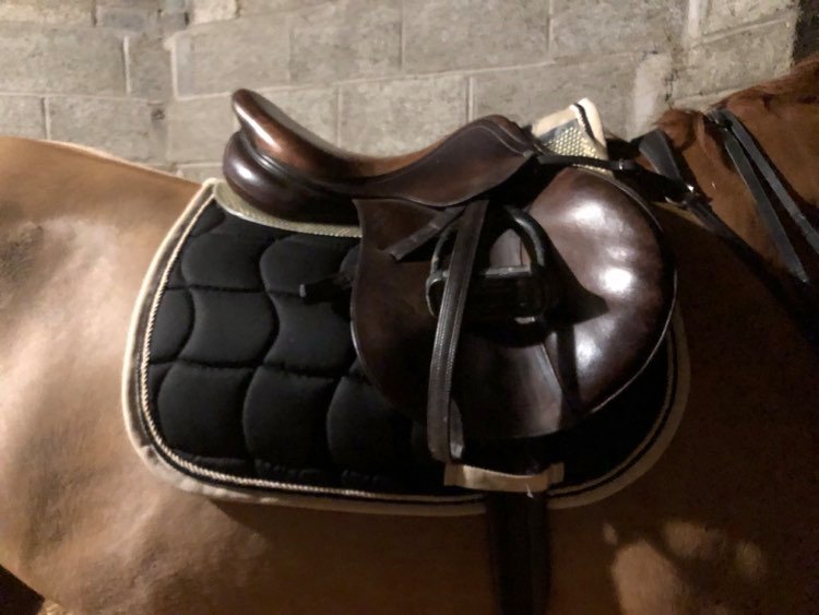 Product Review – The VIP Pad – Equestrian Reality