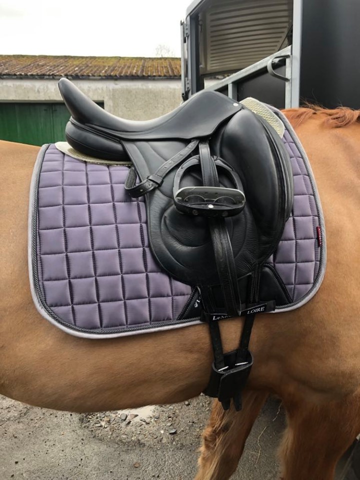 Product Review – The VIP Pad – Equestrian Reality