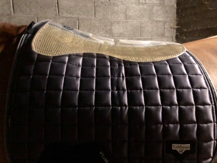 Product Review – The VIP Pad – Equestrian Reality
